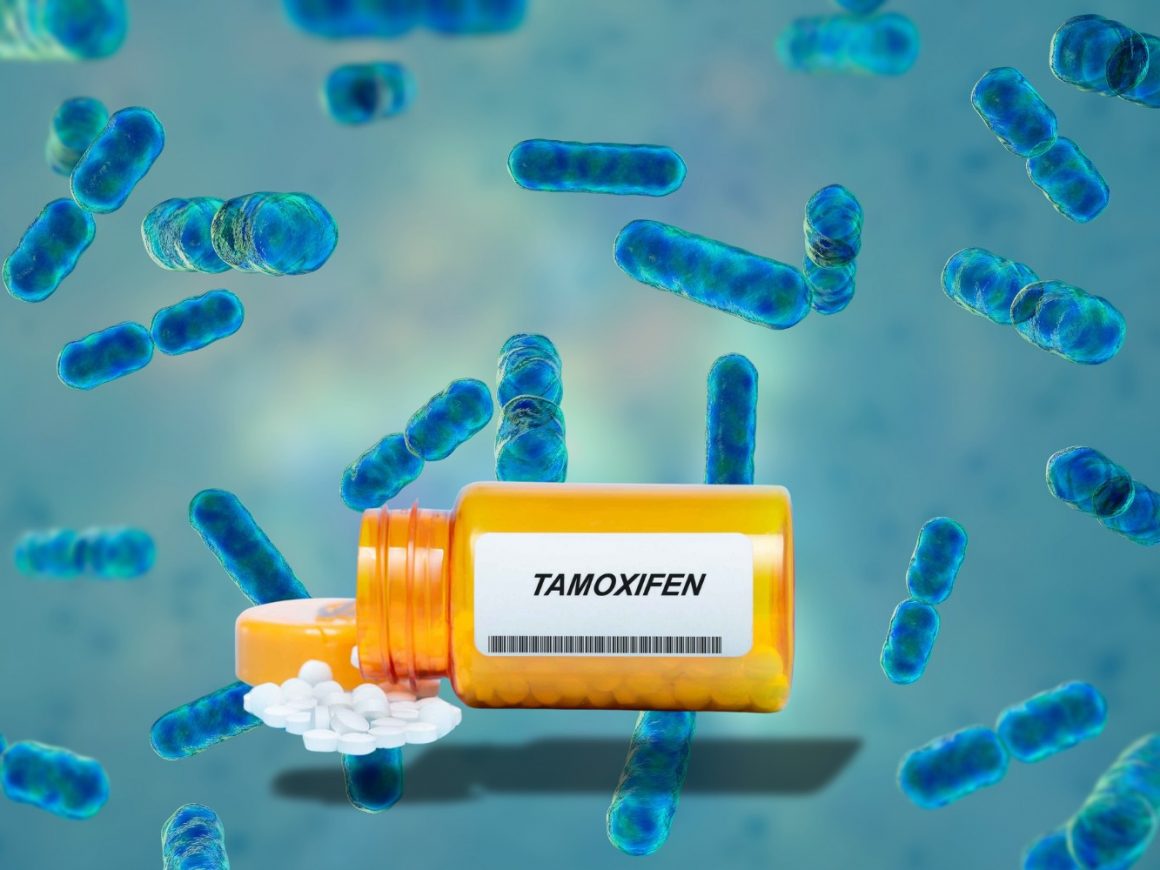 Humour: an essential tool in cancer care and communication ...