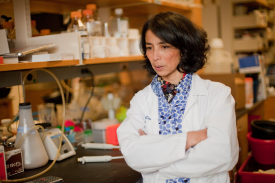 Miriam Merad and the 2025 Sjöberg Prize: A Celebration of Innovation in ...